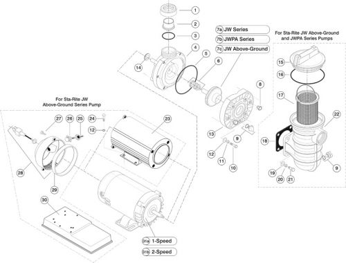 Pentair Sta-Rite JW/JS Pump Impeller 1.0 HP C105-228PF